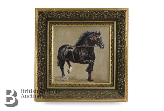 Clodagh Cravos | Llanarth Flying Comet Champion Welsh Section D. cob ...