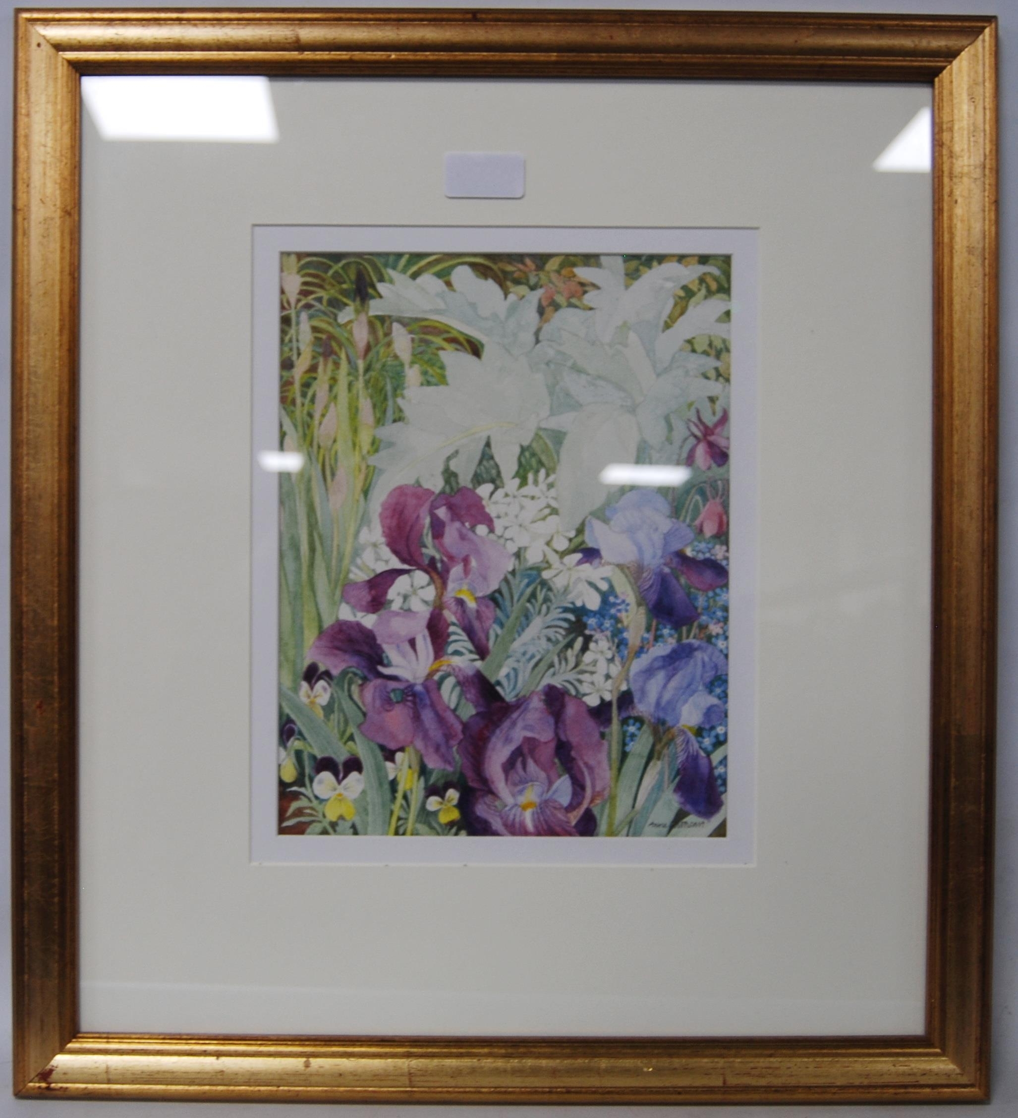 Anne Cathcart | Iris | MutualArt