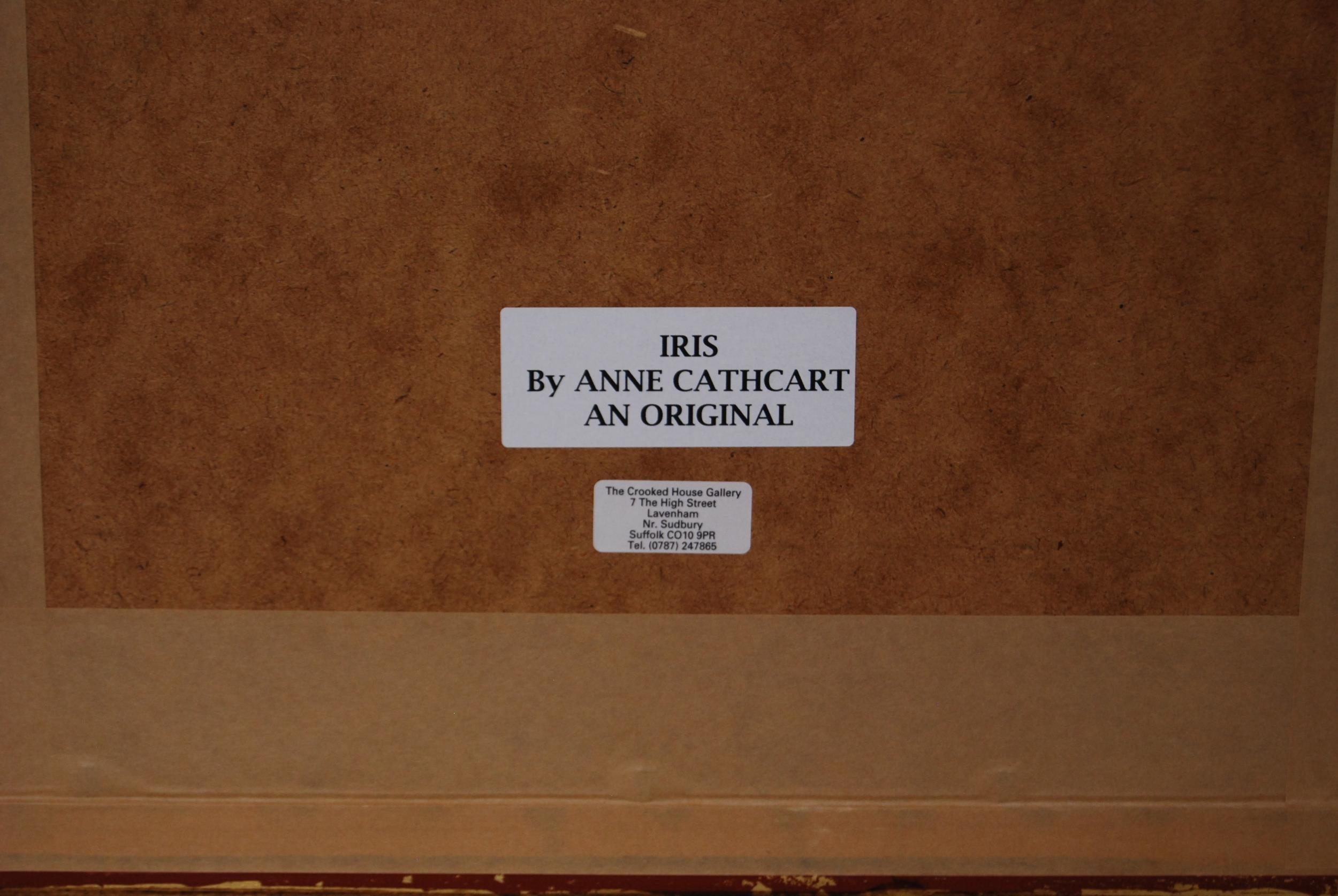 Anne Cathcart | Iris | MutualArt