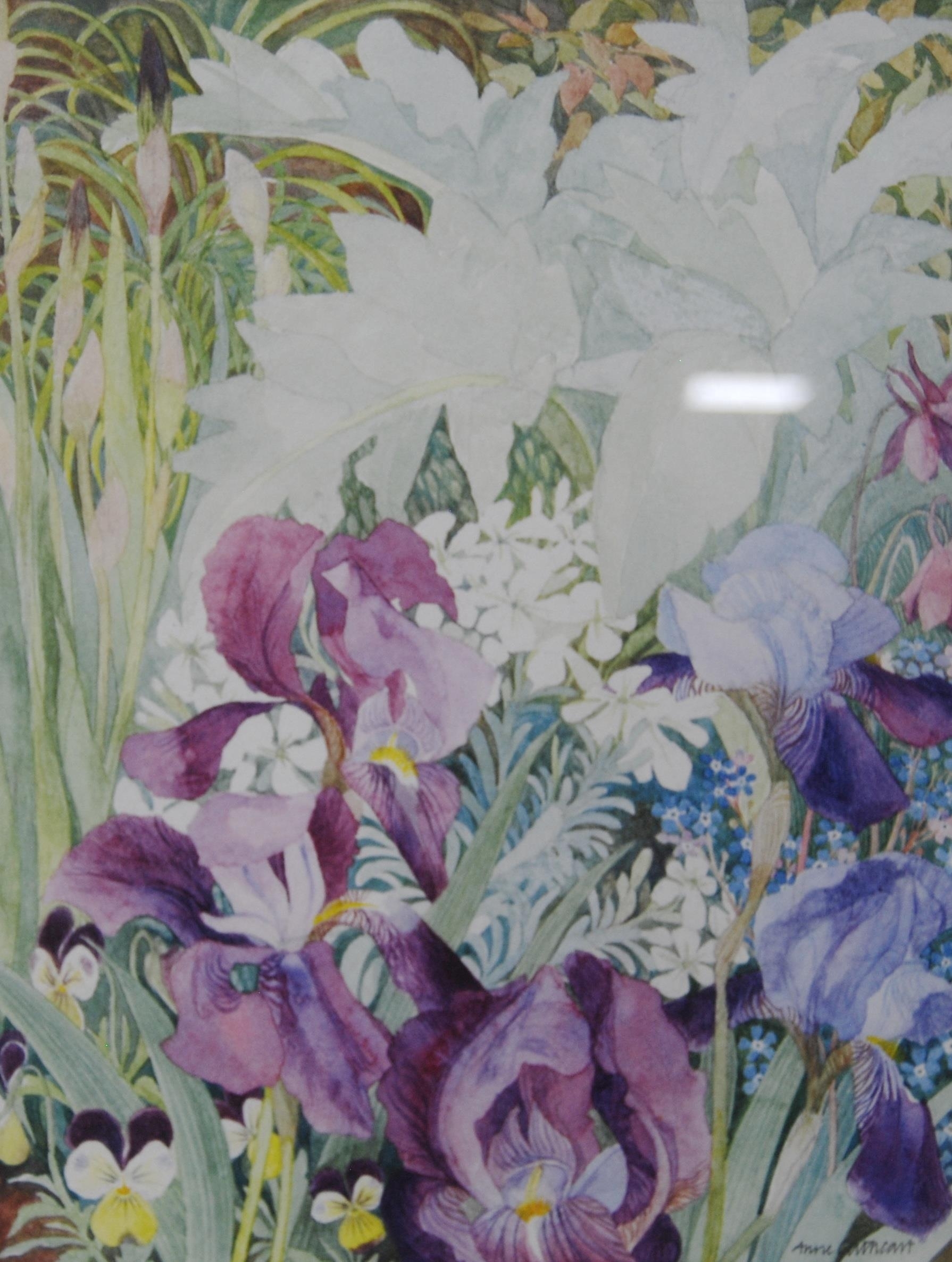 Anne Cathcart | Iris | MutualArt
