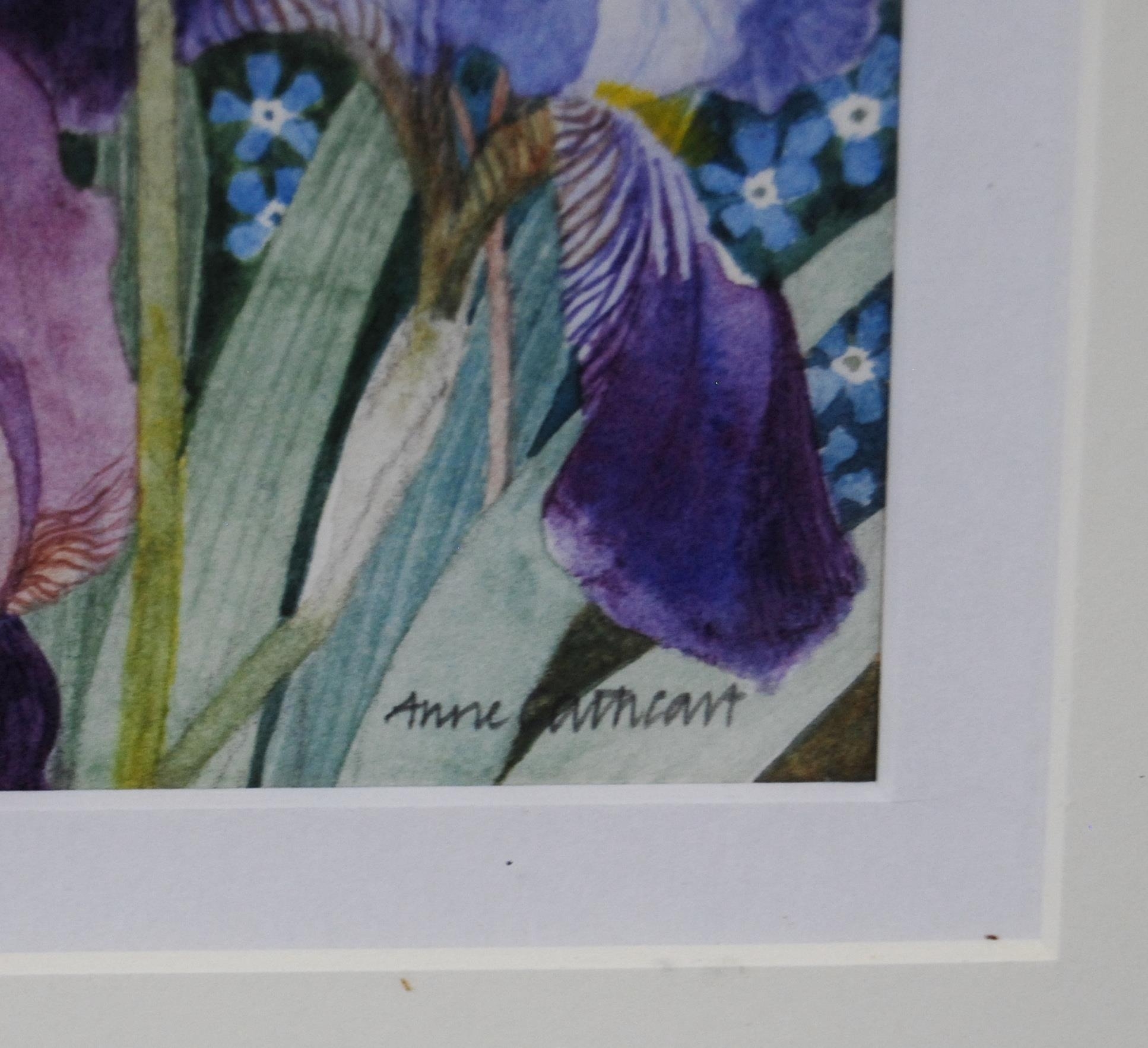 Anne Cathcart | Iris | MutualArt