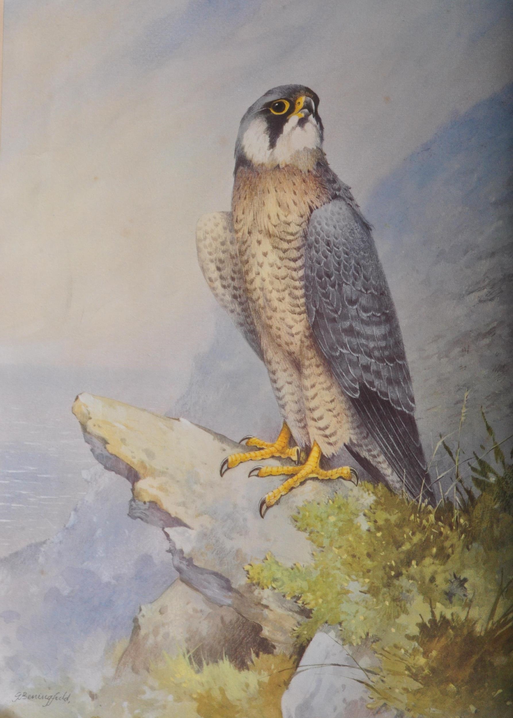 Gordon Beningfield | - Two vintage 20th century Gordon Beningfield ...