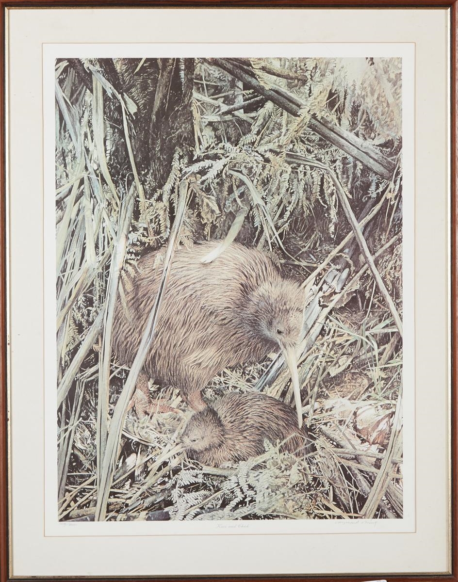 Raymond Harris Ching | Banded Rail (Rallus philippensis) (1980) | MutualArt
