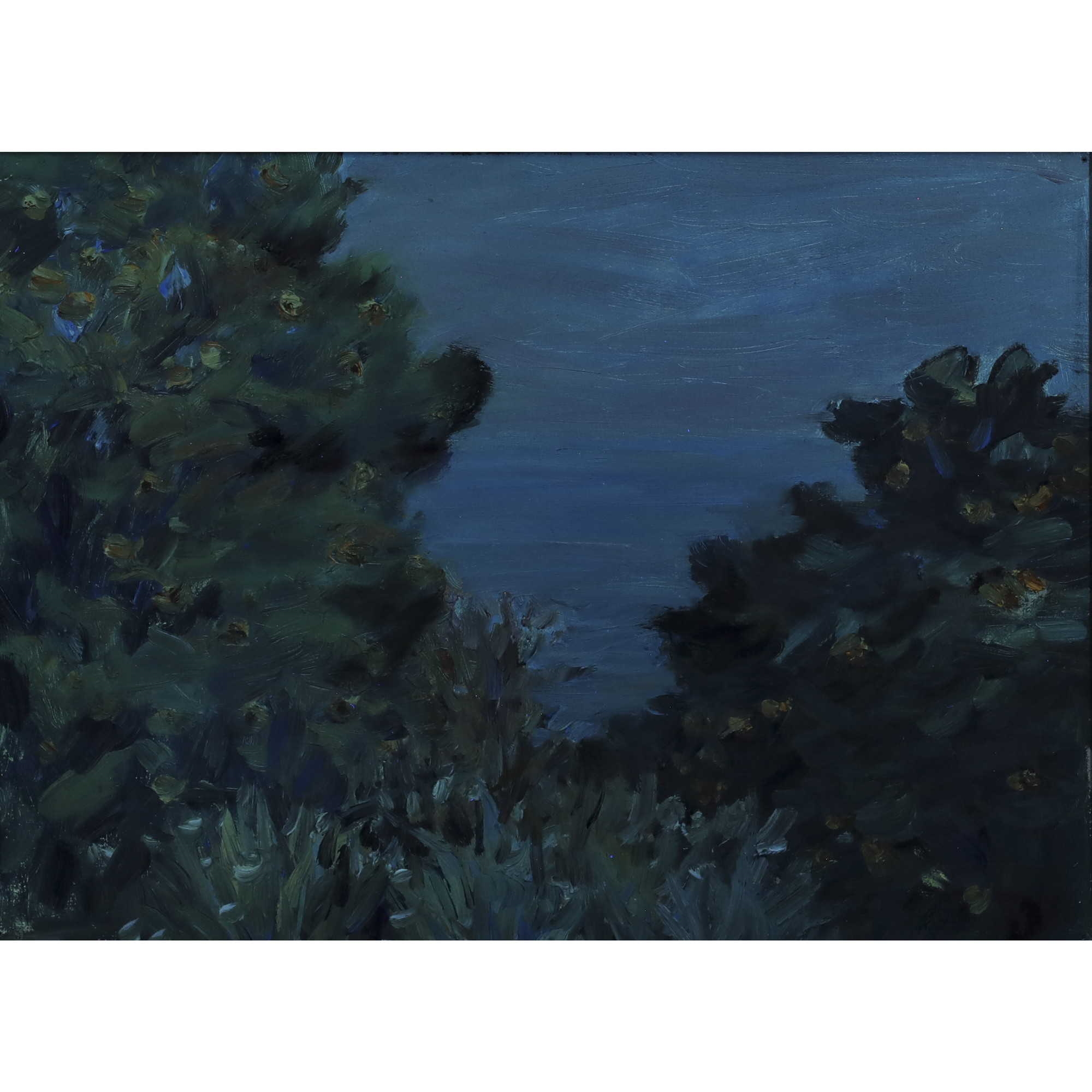 Ikuma Arishima | LEMON AND BITTER SUMMER ORANGE (1961) | MutualArt