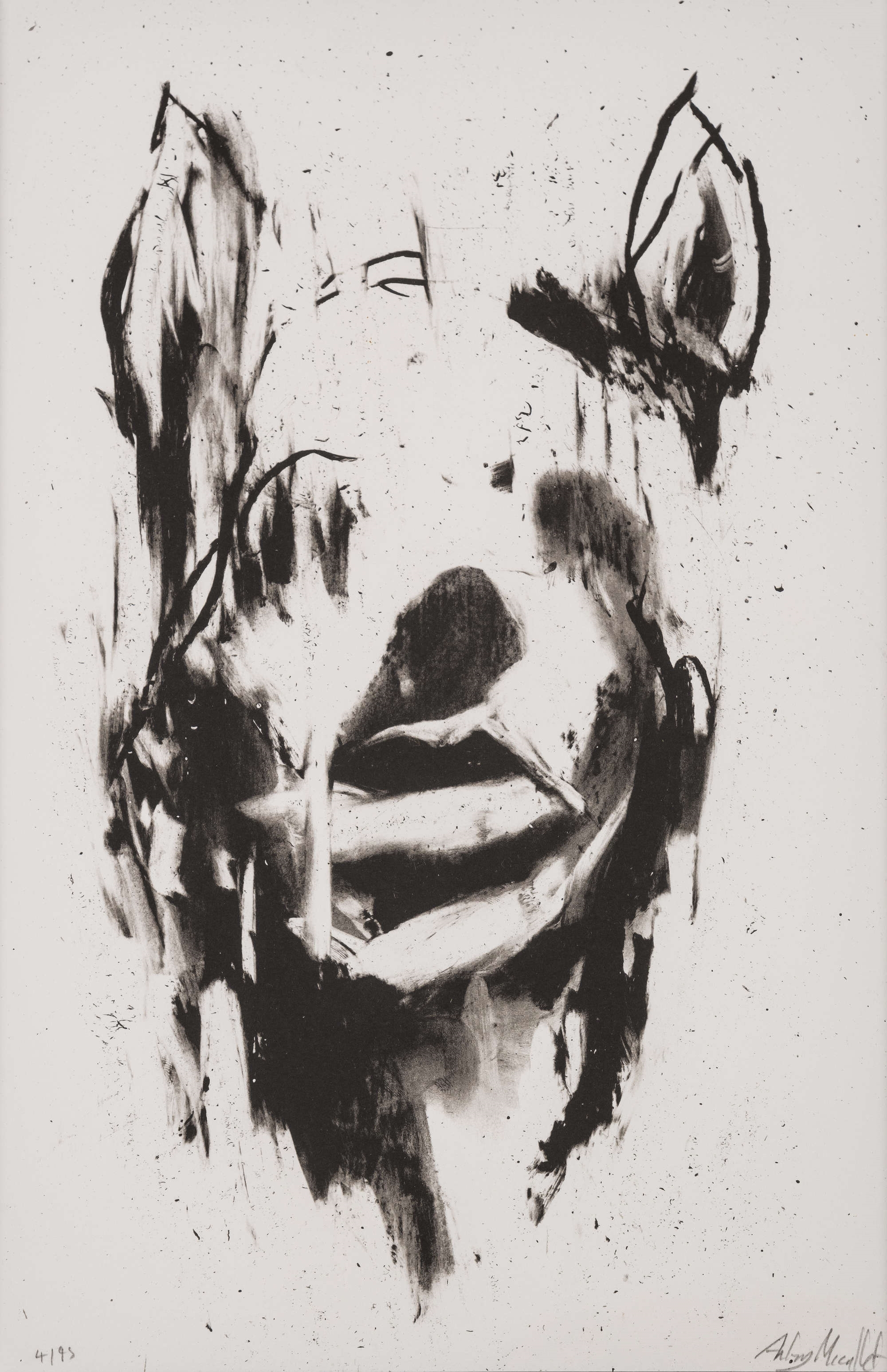 Antony Micallef | Head (2005) | MutualArt