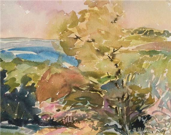 Jean Creedy | Biography