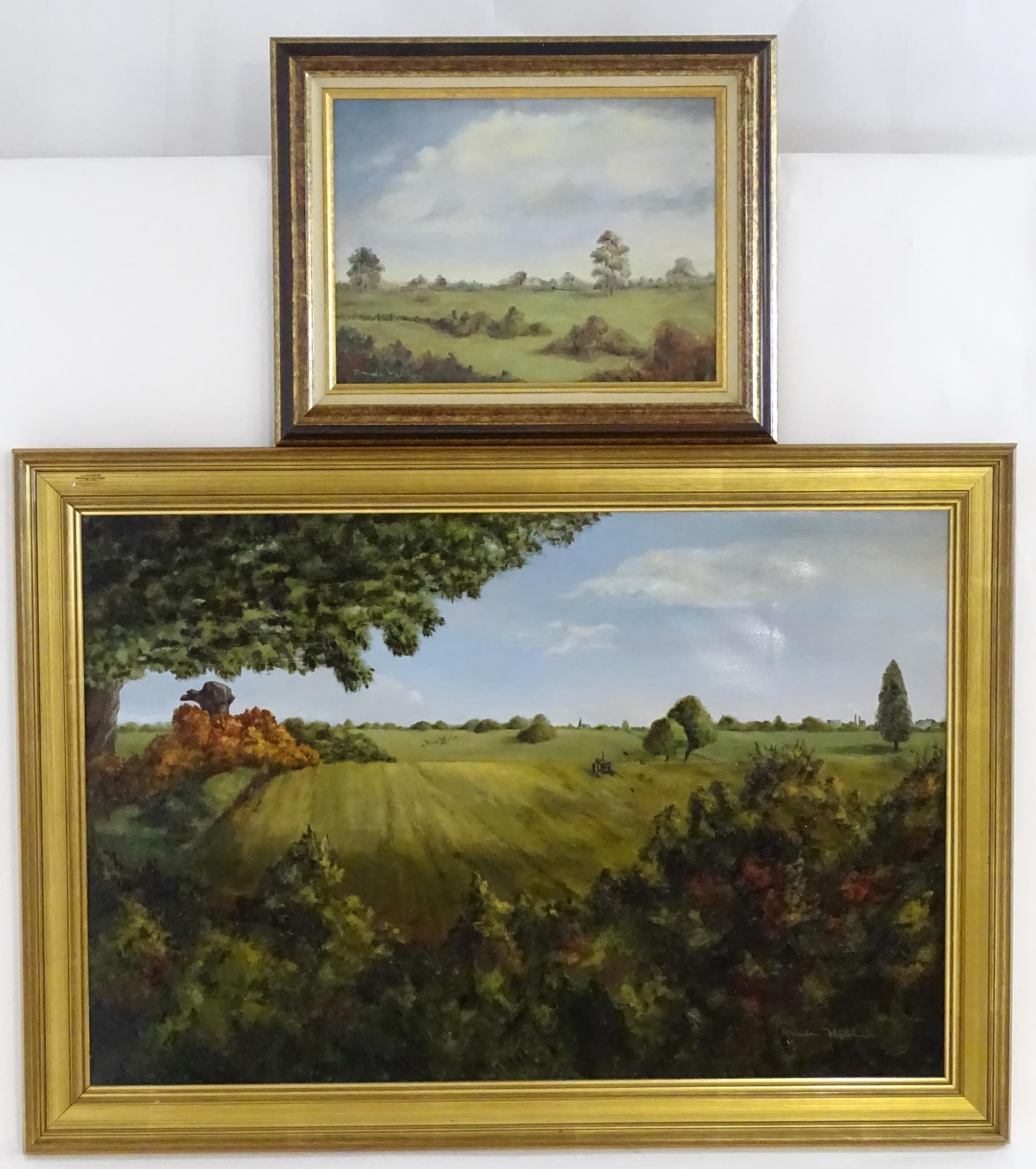 Brendan Fletcher | Brenda Fletcher,th century | MutualArt