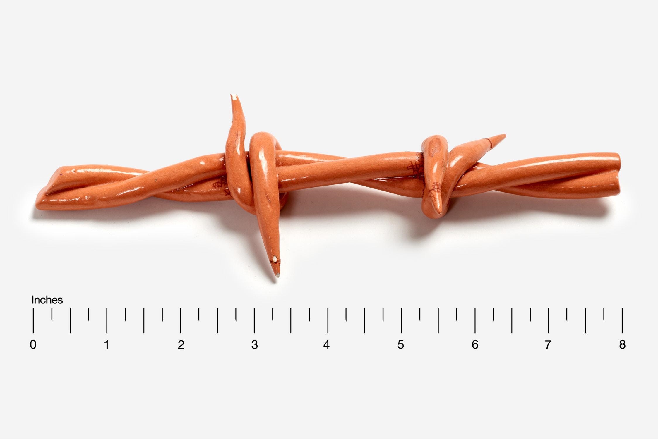 Roger Shimomura | Barbed wire | MutualArt