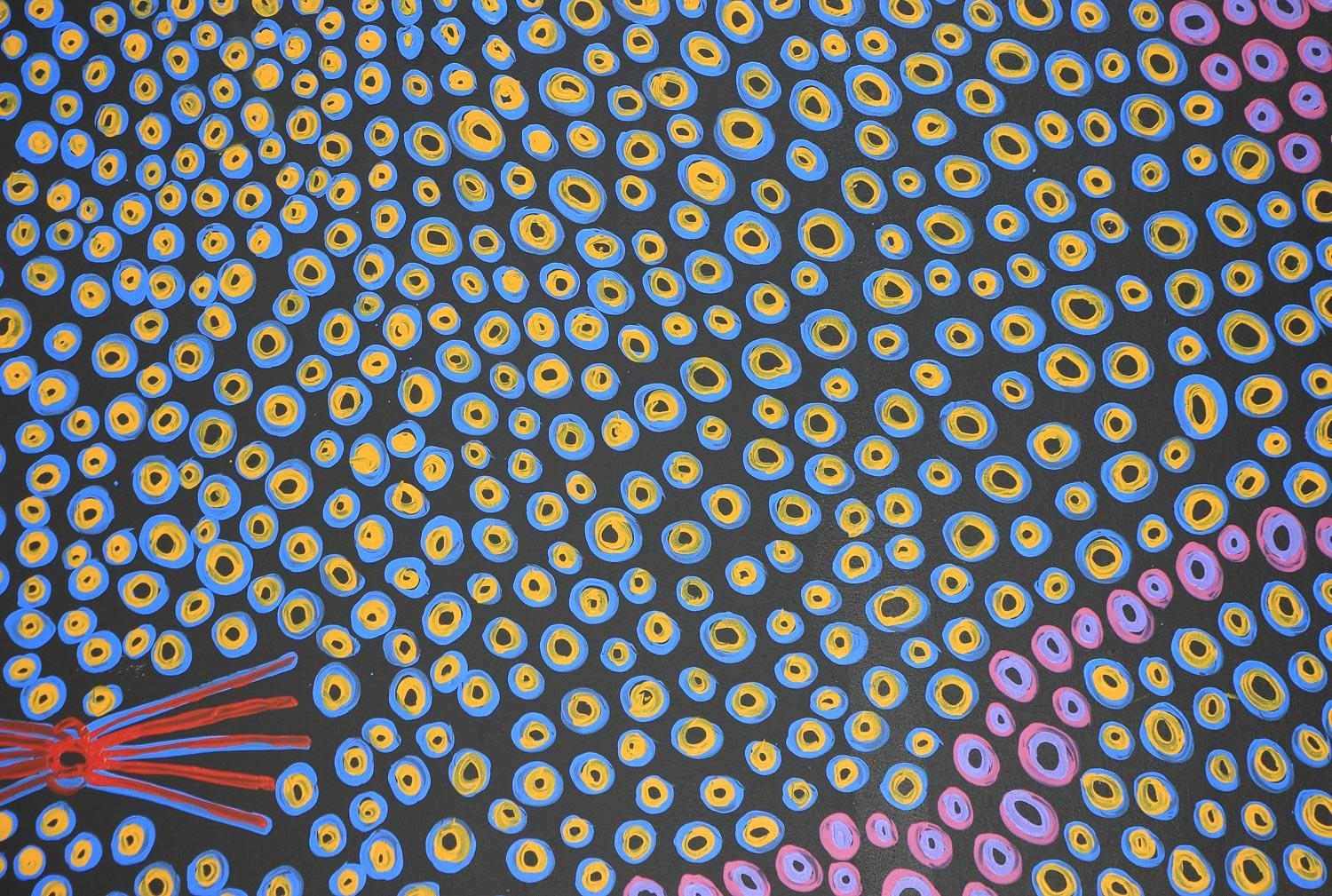 Maria Curley | Minma Marlilu Tjukurrpa (2020) | MutualArt