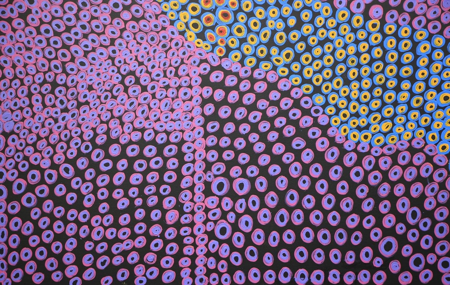 Maria Curley | Minma Marlilu Tjukurrpa (2020) | MutualArt