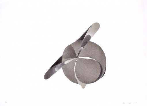 Petr Nikl | Šedá planetka, 2010 (2010) | MutualArt