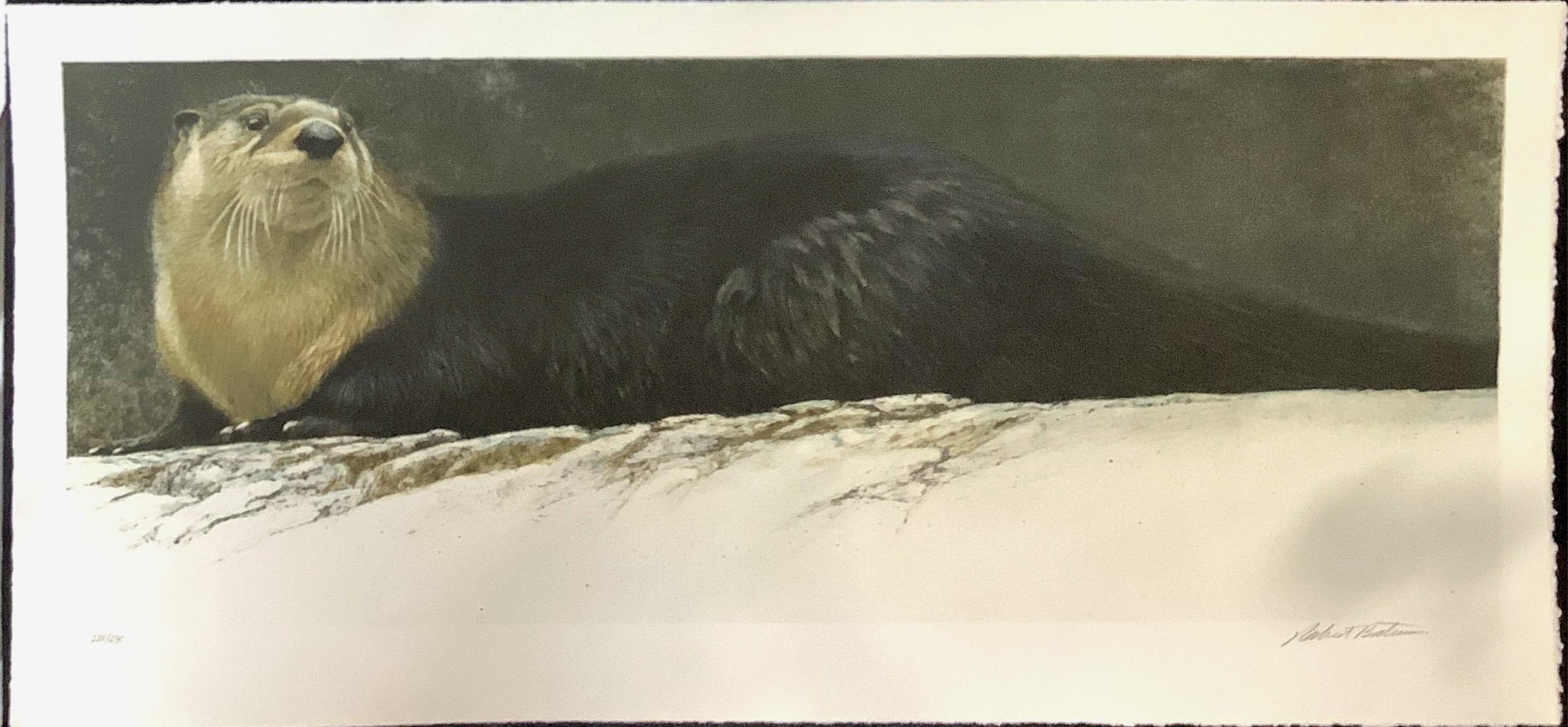 Robert Bateman | Robert Bateman Signed Limited Edition Print | MutualArt