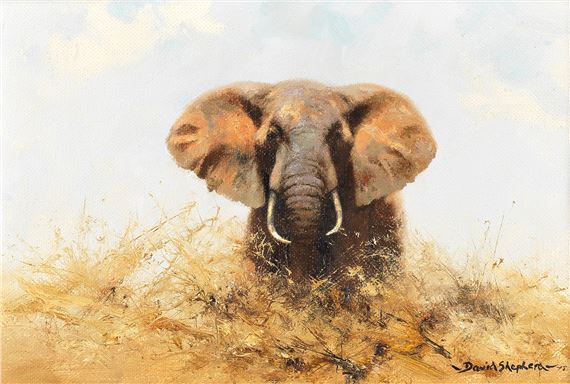 David Shepherd | Bull Elephant | MutualArt