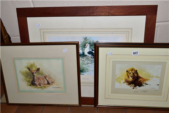 David Shepherd | Lion Sketch; Young Kudu; Muscovy Ducks | MutualArt