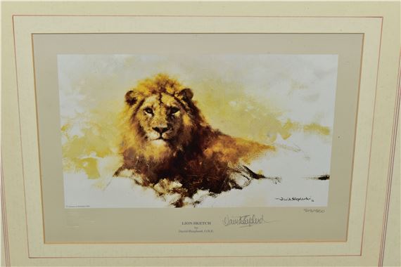David Shepherd | Lion Sketch; Young Kudu; Muscovy Ducks | MutualArt