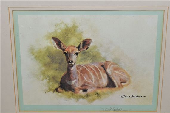 David Shepherd | Lion Sketch; Young Kudu; Muscovy Ducks | MutualArt