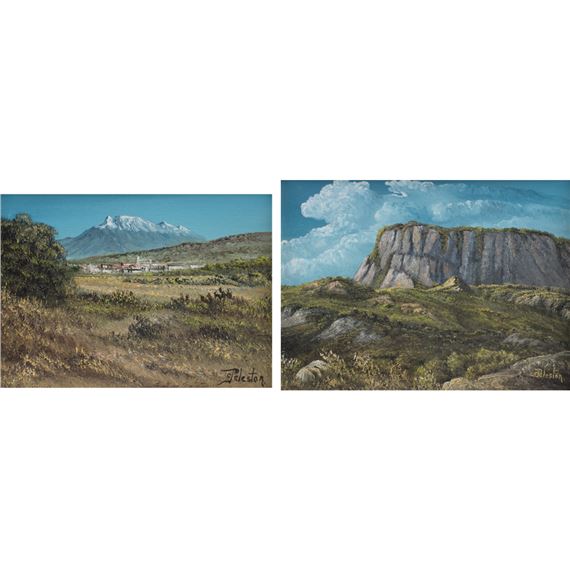 Carlos Pelestor | Mujer dormida ; Peñasco | MutualArt