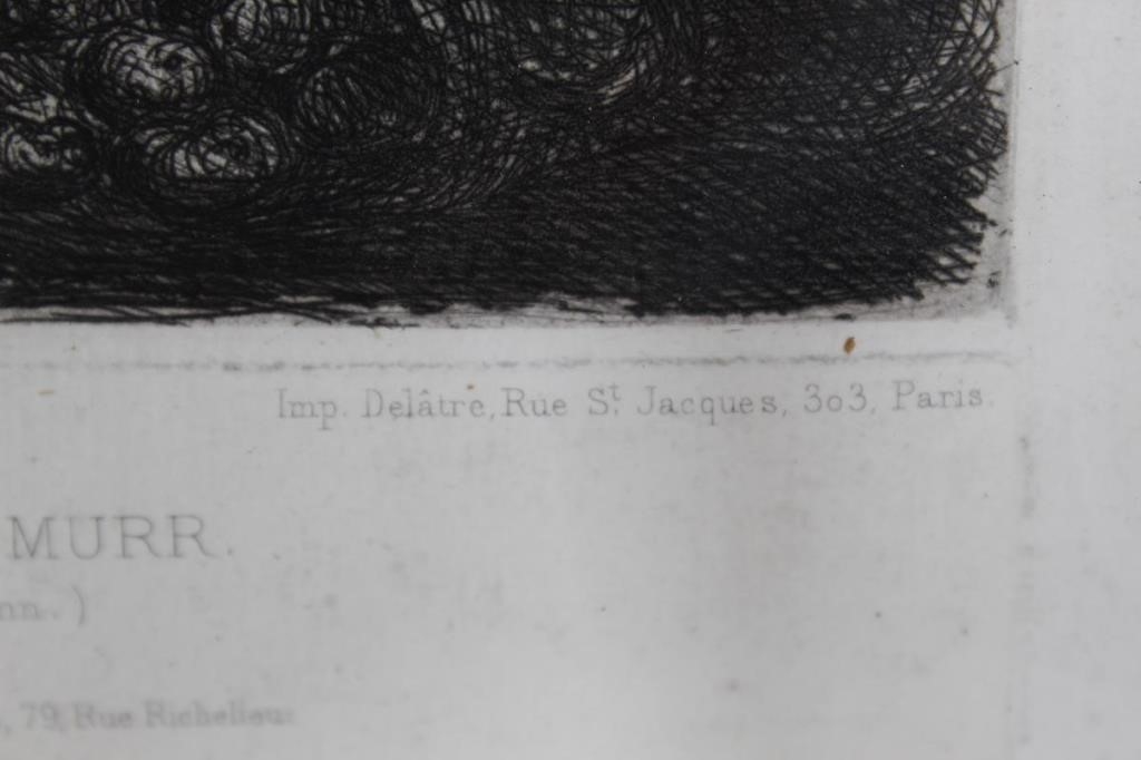 E. T. A. Hoffmann | The Death of the Cat Murr | MutualArt