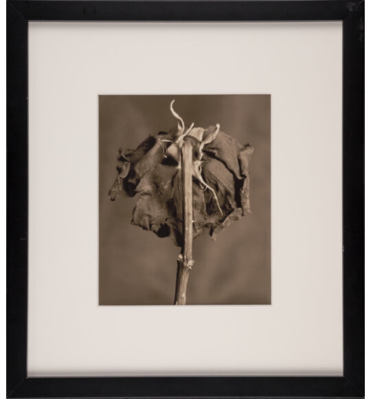 Robert Stivers | Group of Four Photographs (2001 - 2006) | MutualArt