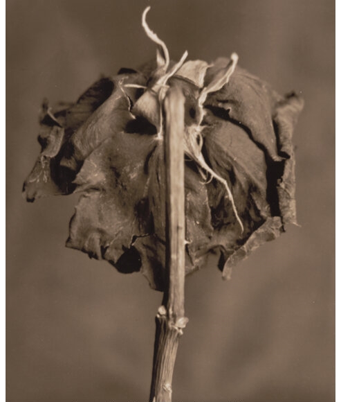 Robert Stivers | Group of Four Photographs (2001 - 2006) | MutualArt