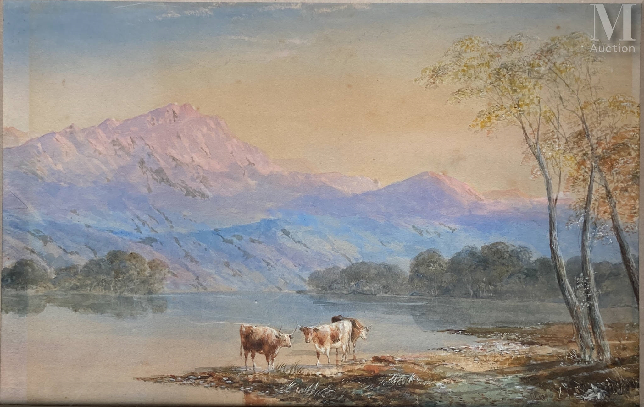Edward Tucker | Paysages montagneux aux vaches | MutualArt