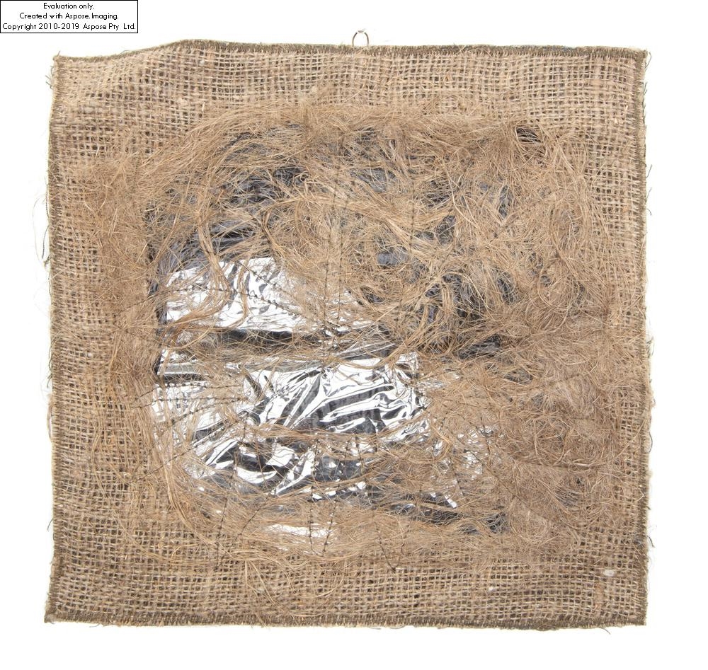 Barbara Levittoux-Świderska | Glimmers (1990) | MutualArt