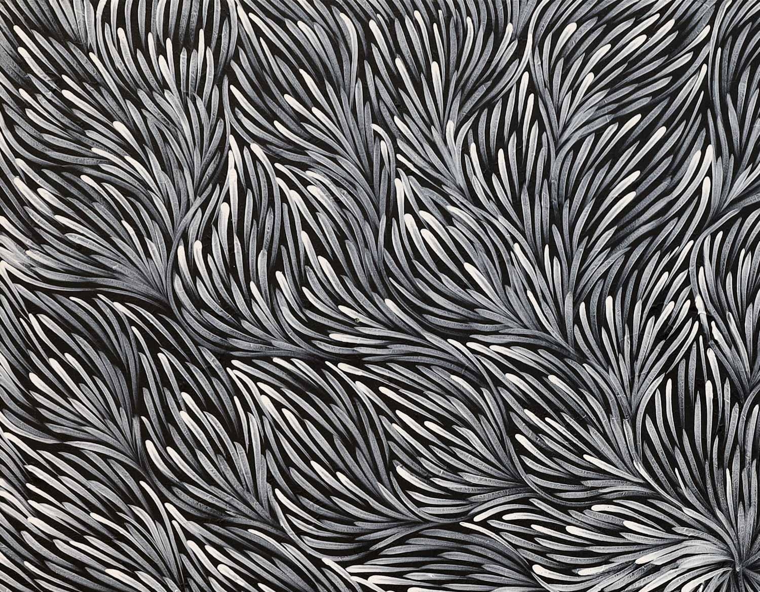 Patrick Rumble Kemarre | Bush Medicine Leaves (2021) | MutualArt