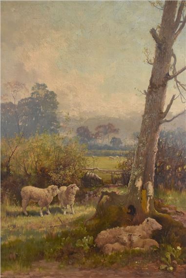 Robert Farren | serene pastoral scene with sheep and lambs (1893 ...