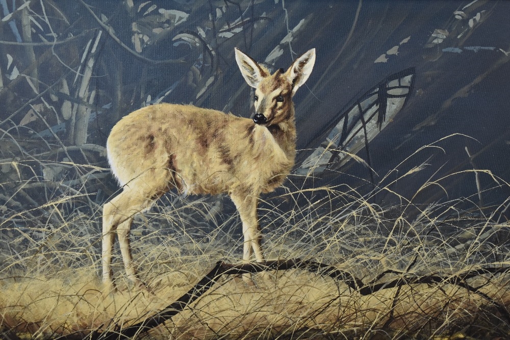 Craig Bone | a Duiker | MutualArt