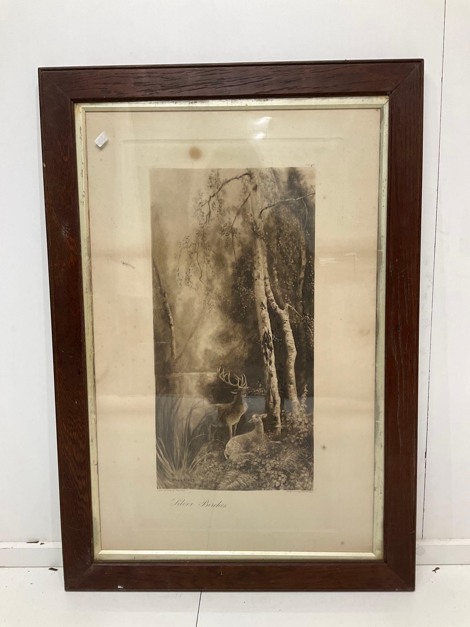 Frederick Hines | Silver Birches | MutualArt