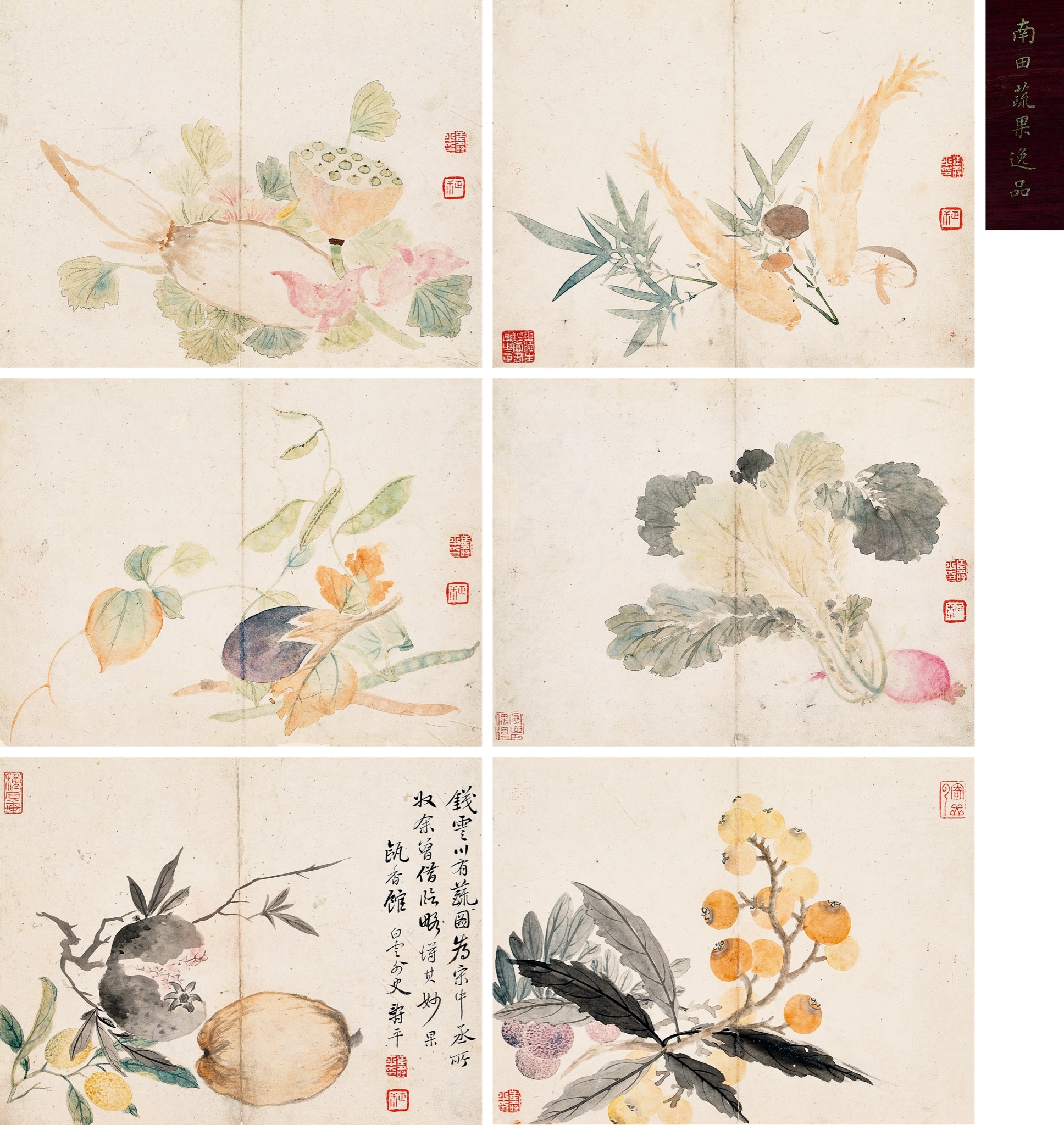 Yun Shouping | Album of Flowers | MutualArt