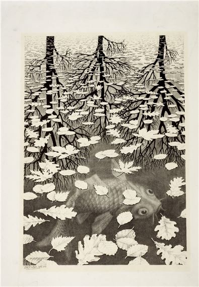 Maurits Cornelis Escher | Drie Werelden (Three Worlds) (Bool 405) (1955 ...