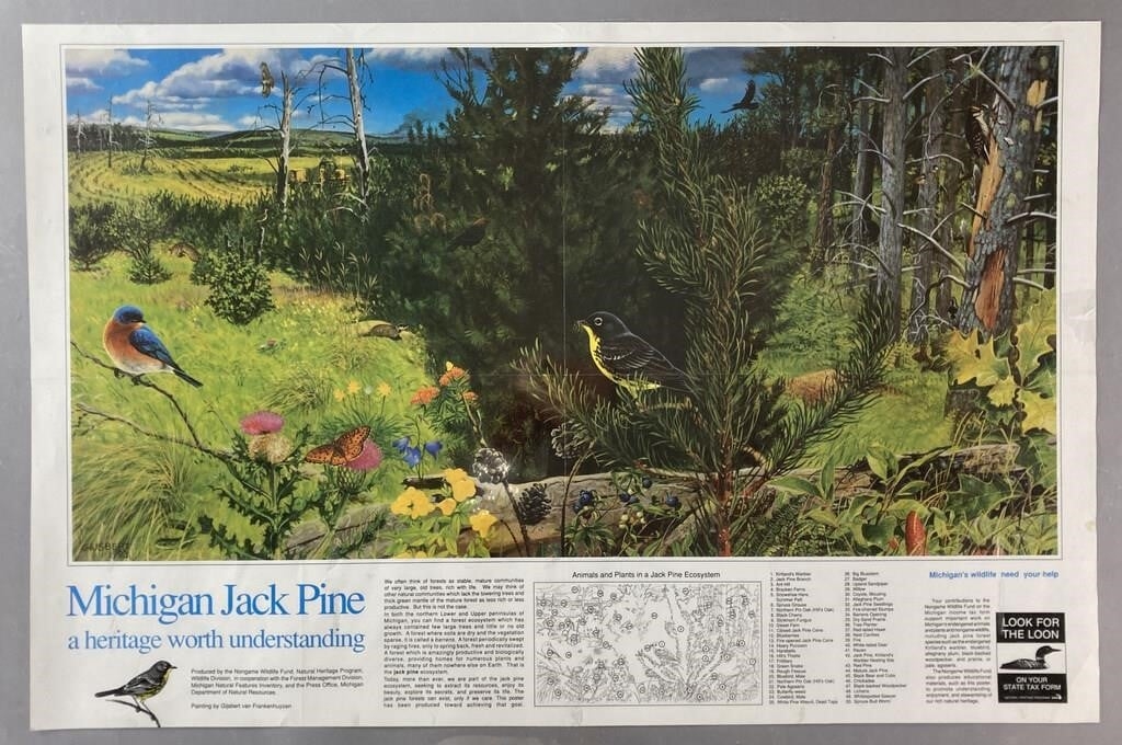 Gijsbert van Frankenhuyzen | Educational poster from the Nongame ...