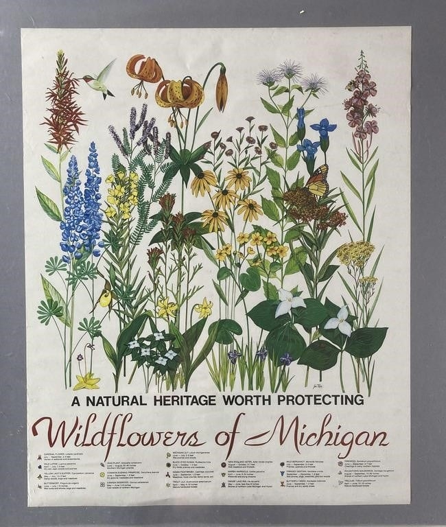 Jon Titus | Wildflowers of Michigan A Natural Heritage Worth Protecting ...