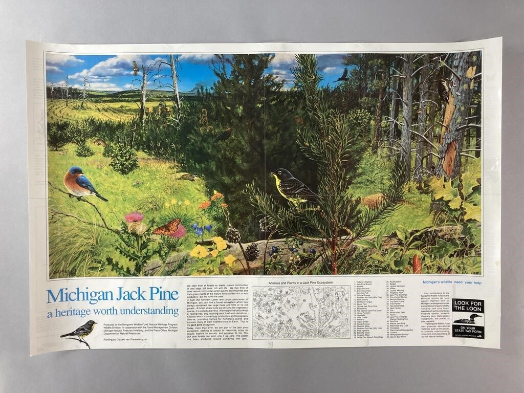 Gijsbert van Frankenhuyzen | Educational poster from the Nongame ...