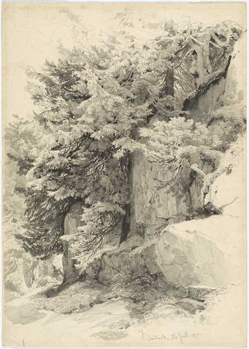 Alexandre Calame | Trees between boulders on a path | MutualArt