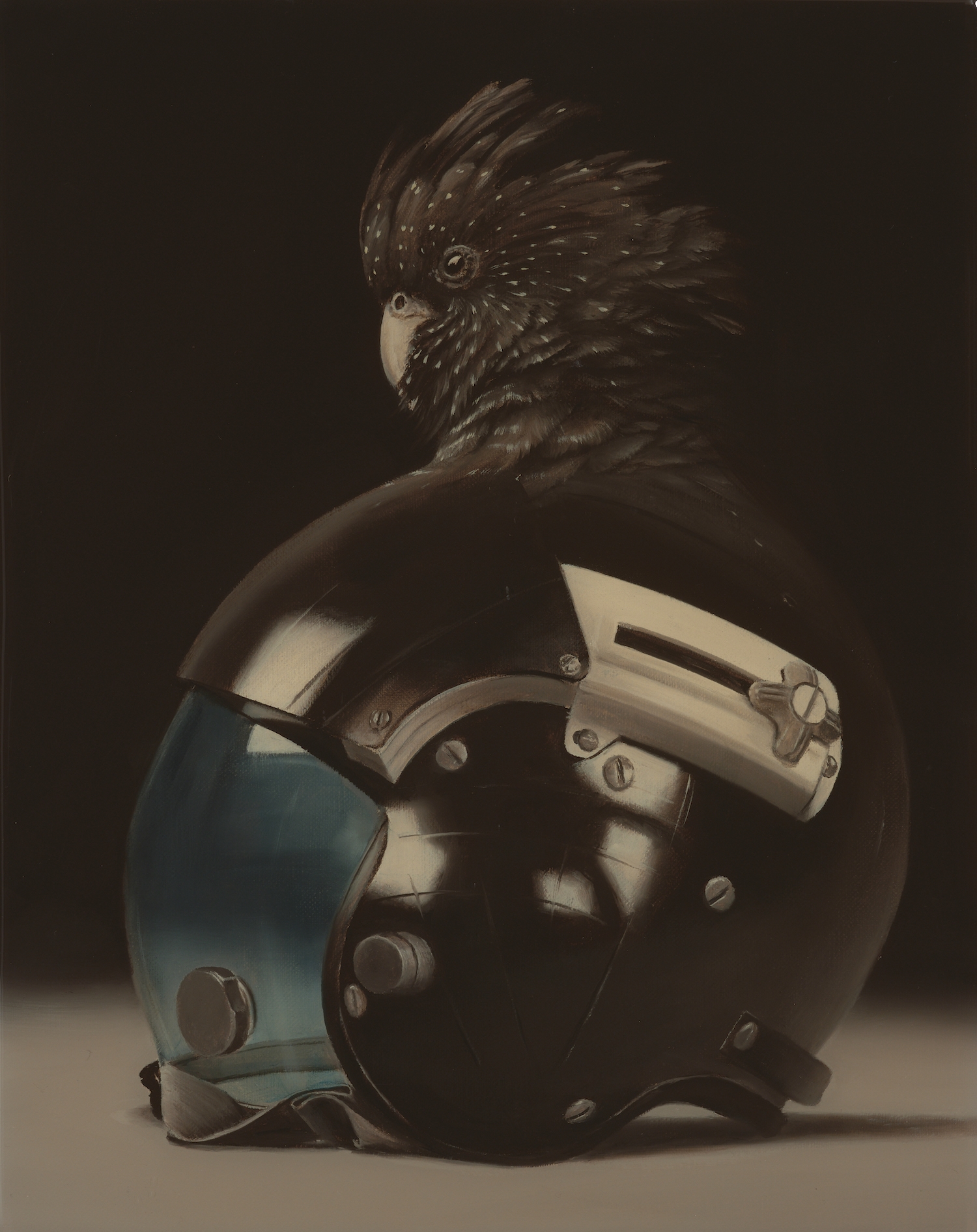 Sam Leach | Cockatoo and Helmet | MutualArt
