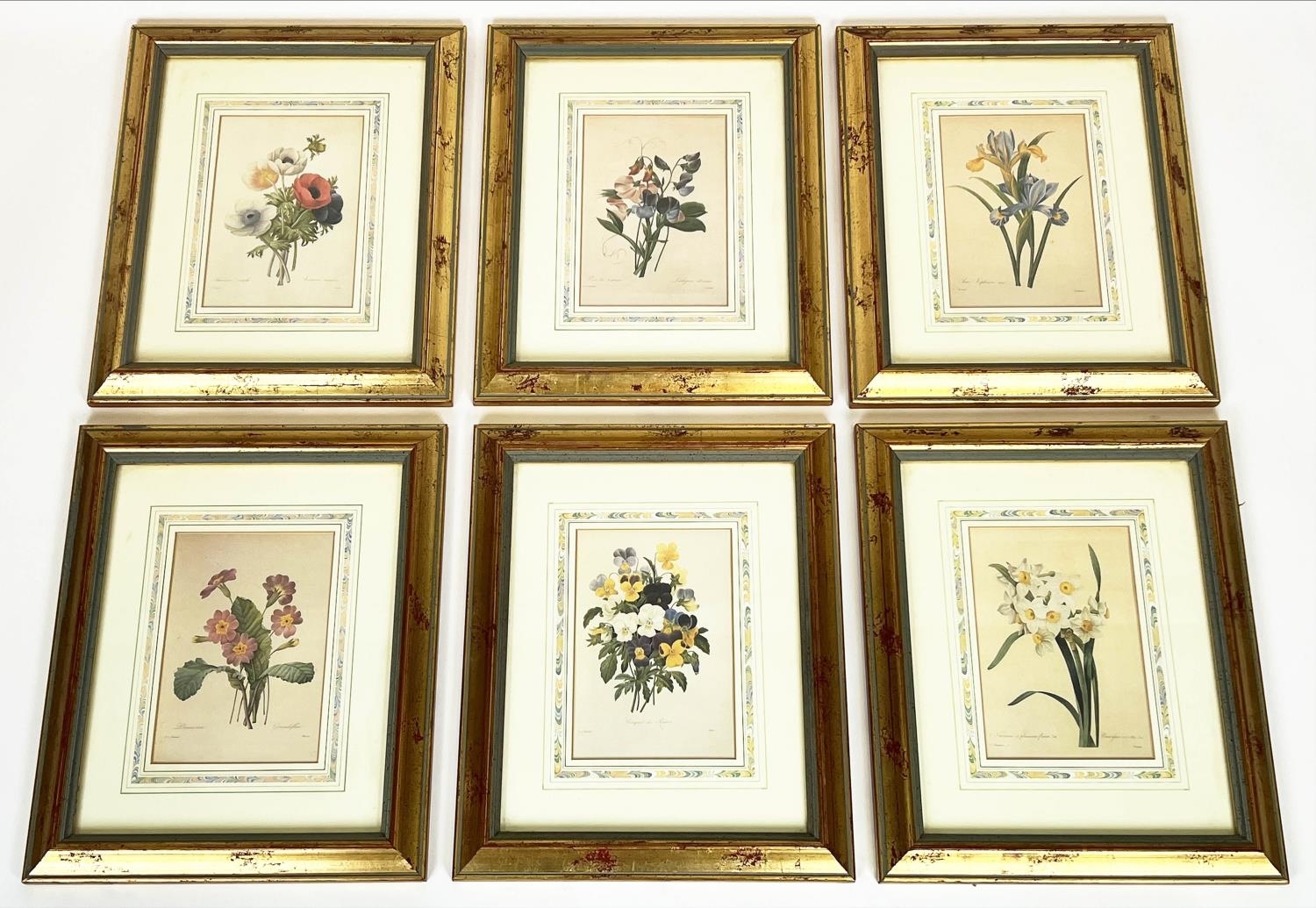 Pierre-Joseph Redouté | BOTANICAL, a set of six | MutualArt