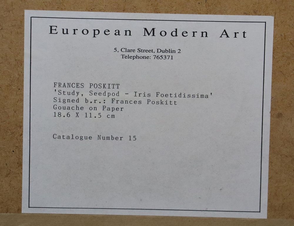 Frances Poskitt | STUDY | MutualArt