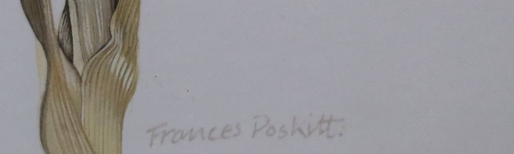 Frances Poskitt | STUDY | MutualArt