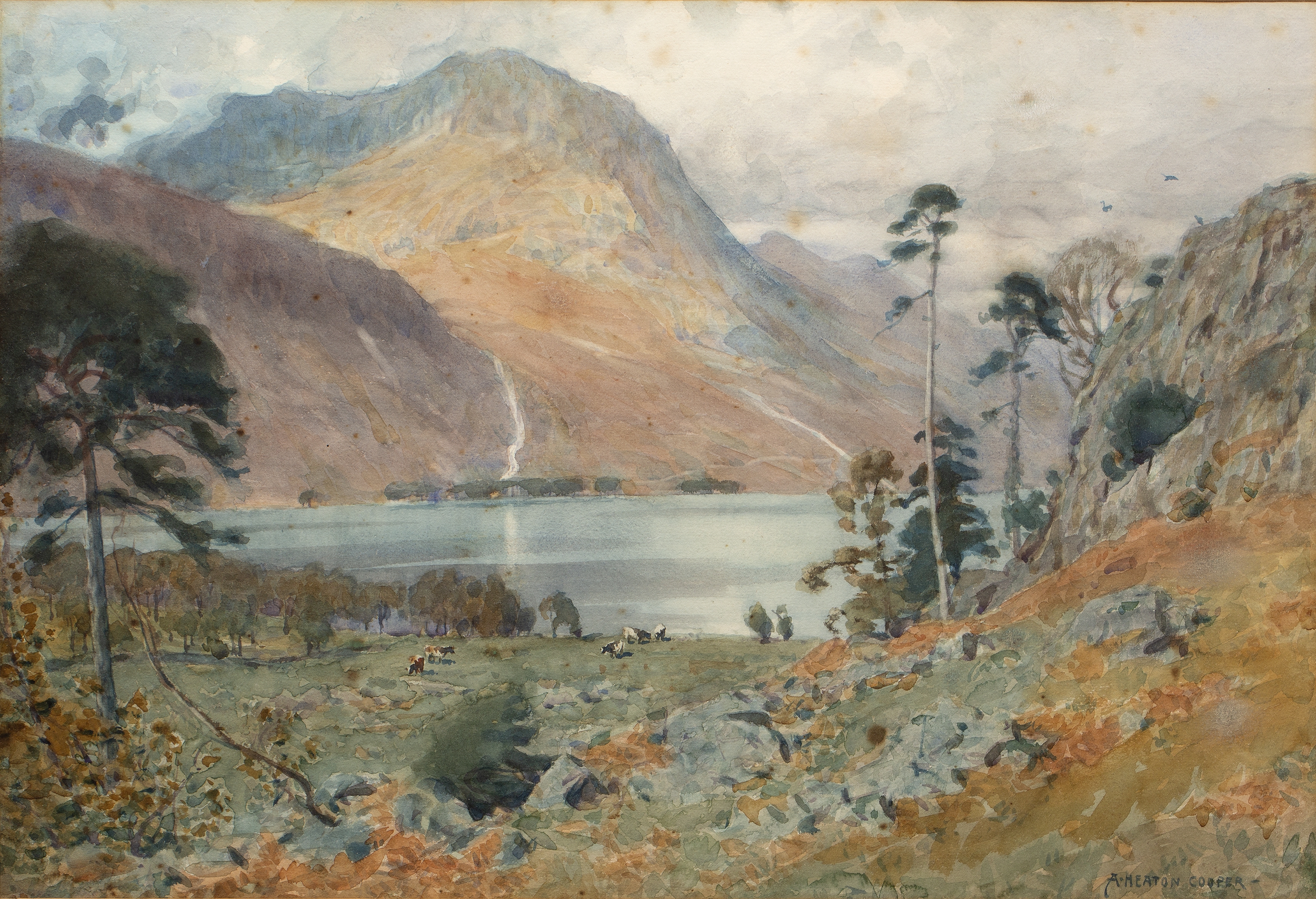 Alfred Heaton Cooper | A lakeside with cattle (1864) | MutualArt