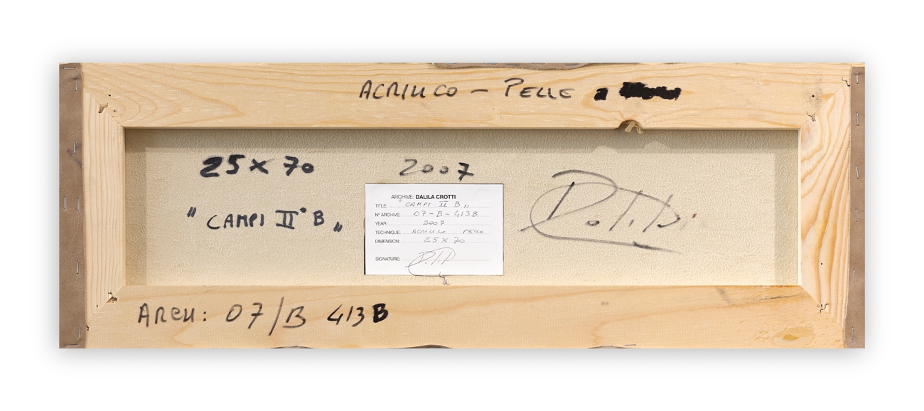 Dalila Crotti | Campi IIB (2007) | MutualArt