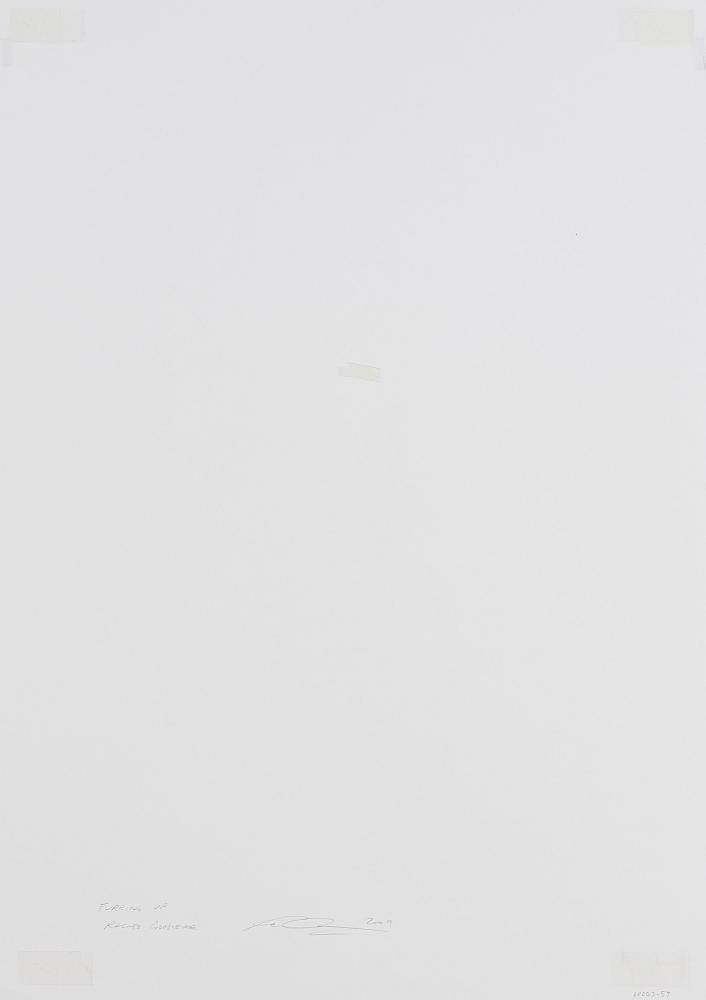 Rachel Goodyear | Furring up. (2009) | MutualArt