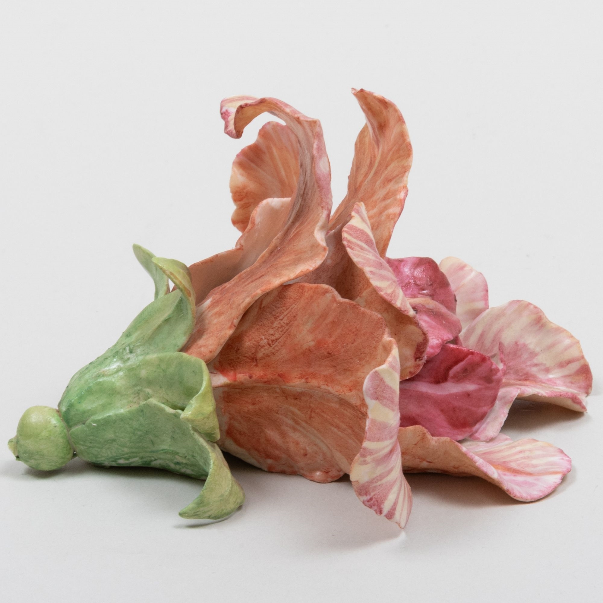 Anne Gordon | The stem lacking | MutualArt