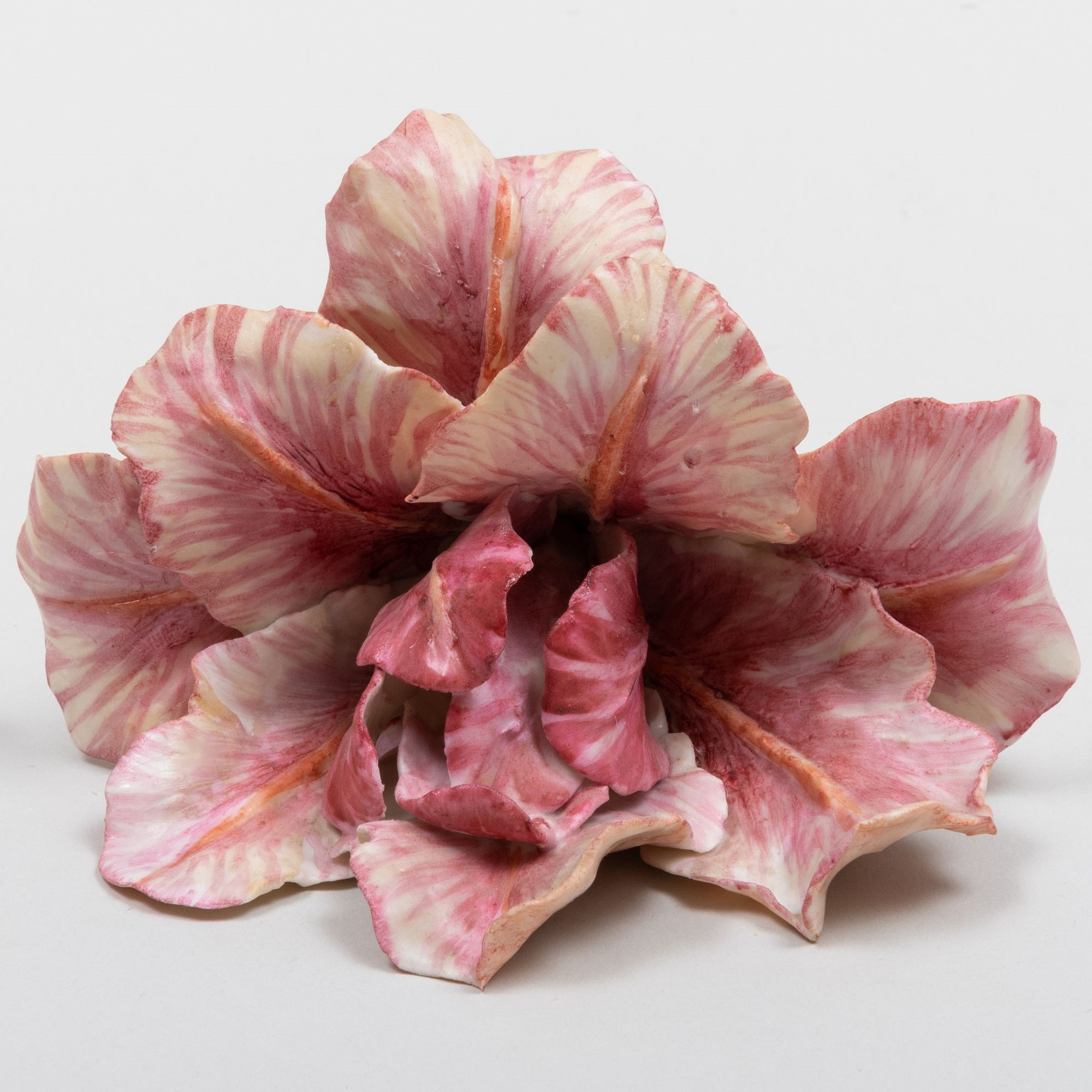 Anne Gordon | The stem lacking | MutualArt