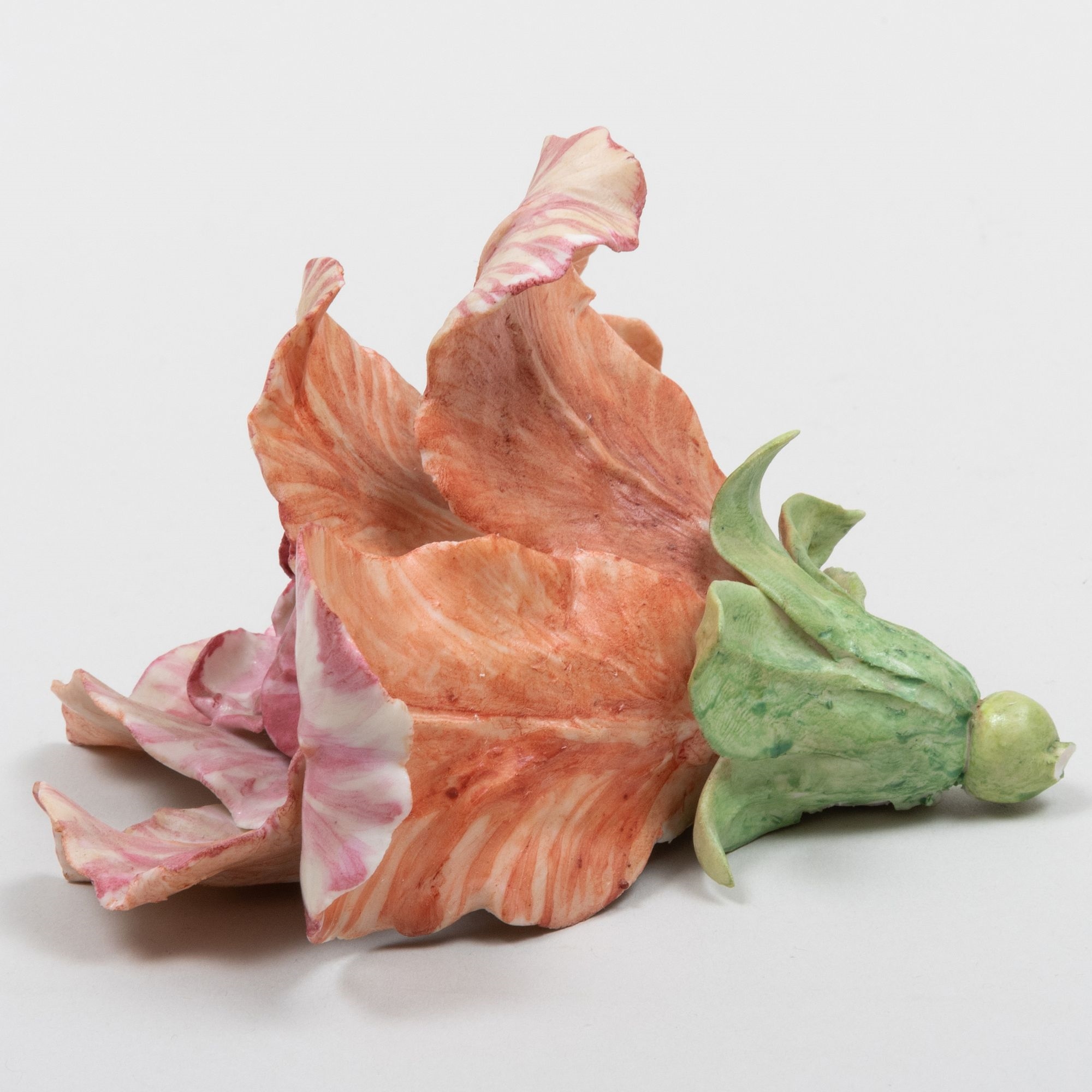 Anne Gordon | The stem lacking | MutualArt