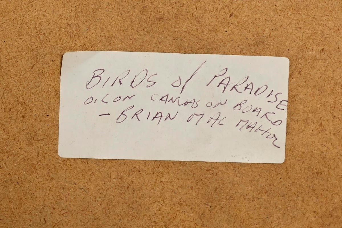 Brian MacMahon | Birds of Paradise | MutualArt