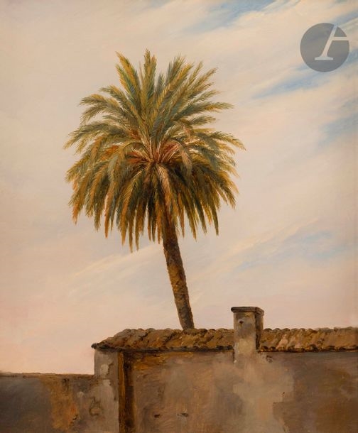 Prosper Barbot | Study of a palm tree | MutualArt