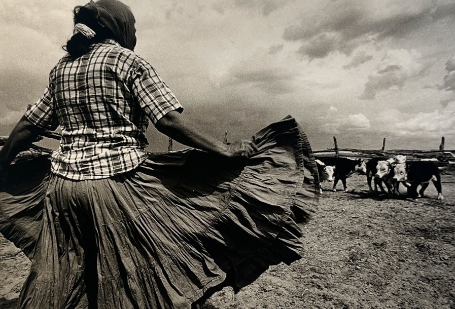 John Running | Navajo woman tending to her cows (1978) | MutualArt