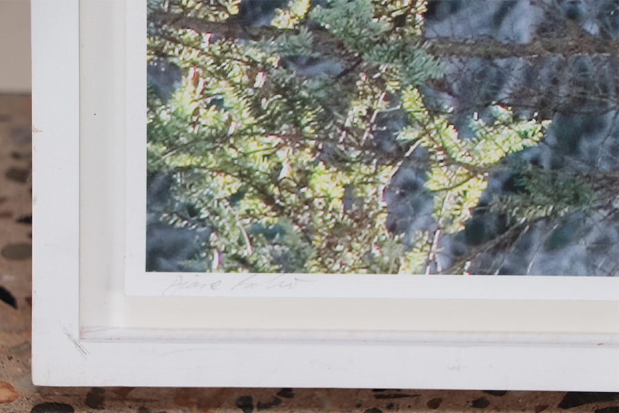 Diane Burko | Winter Hemlock | MutualArt